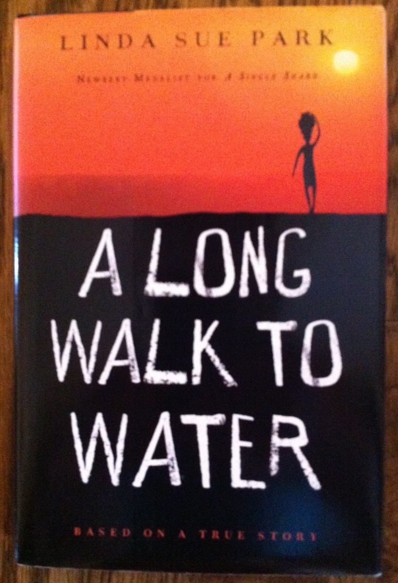 2 Novels with 2 Voices – Beth Anderson, Children's Writer