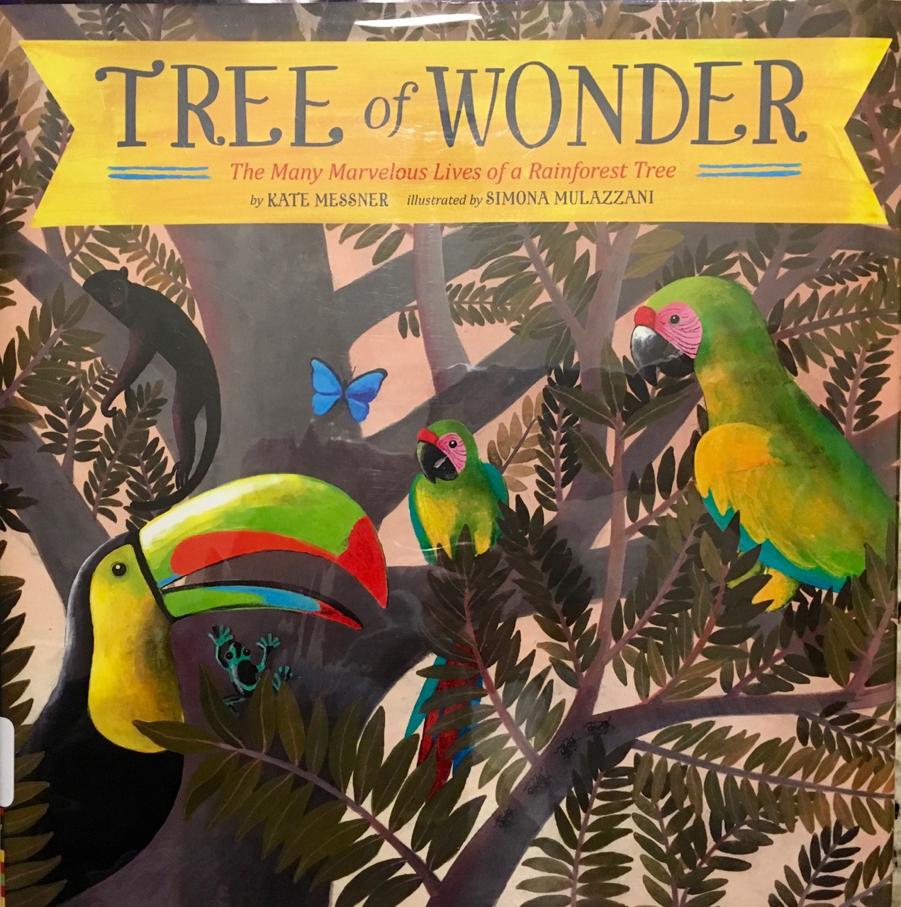 Tree of Wonder – Beth Anderson, Children's Writer