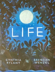 Life – Beth Anderson, Children's Writer