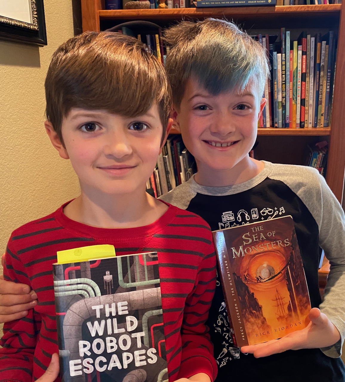 Introducing the Books Brothers! – Beth Anderson, Children's Writer