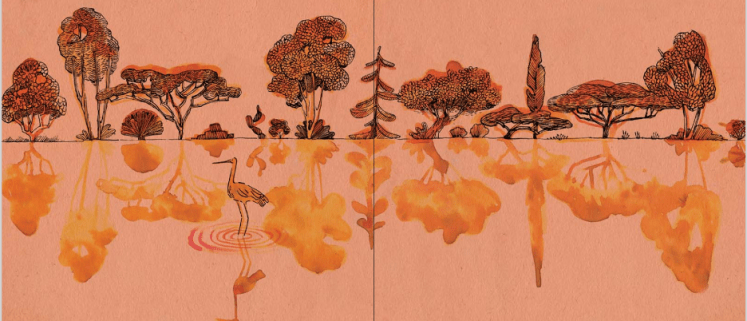 Mining for Heart: “Heart in Picture Books: A Treasure Map to Emotional ...