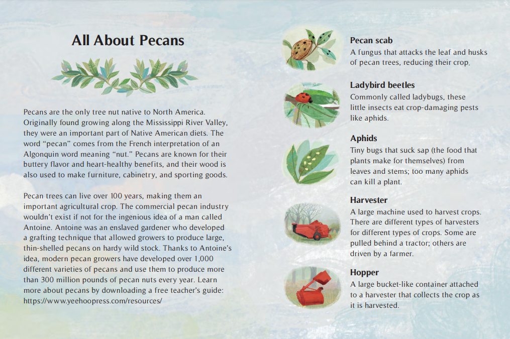 backmatter – Beth Anderson, Children's Writer